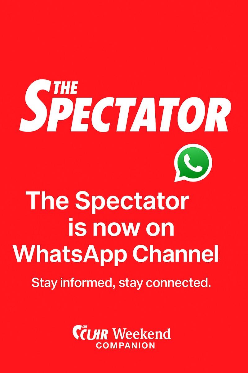 I Am Torn Between Two Guys The Spectator 7543